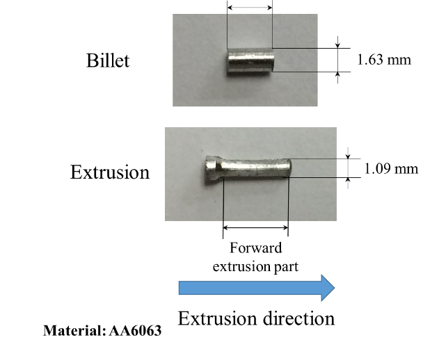 AMPL | Micro-Extrusion