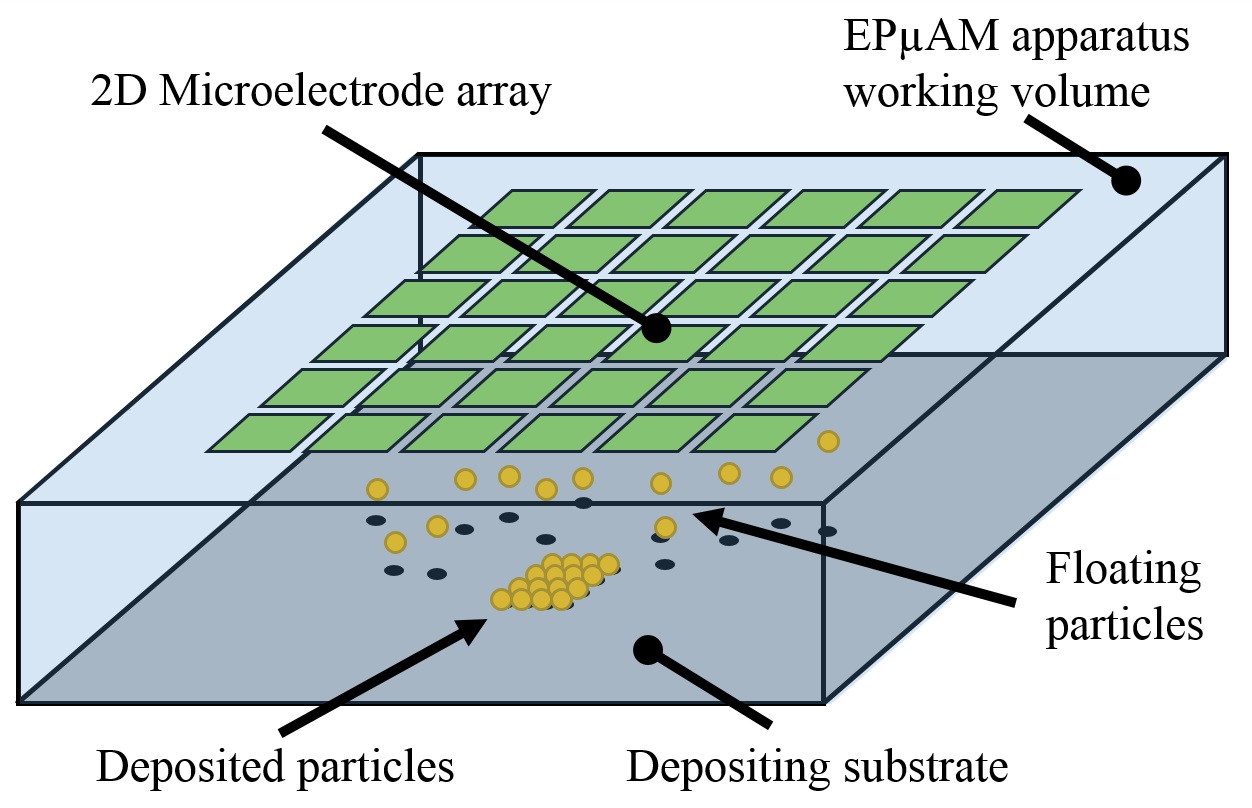 AMPL | EPµAM / Micro Self Assembly